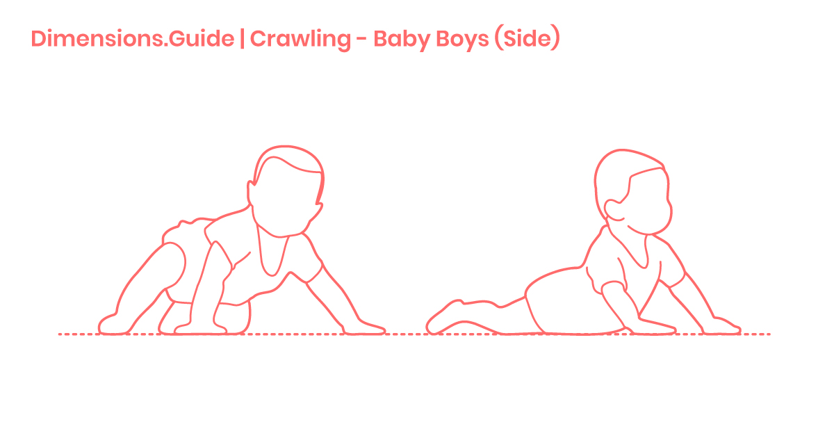Crawling - Baby Boys (Side) Dimensions & Drawings | Dimensions.com