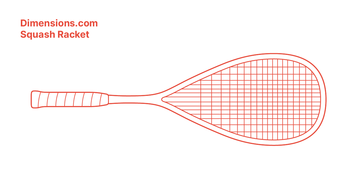 Squash Racket Dimensions & Drawings | Dimensions.com