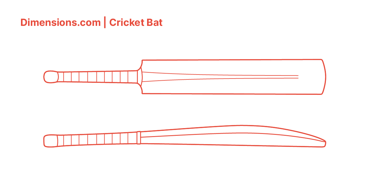 Cricket Bat Dimensions & Drawings | Dimensions.com
