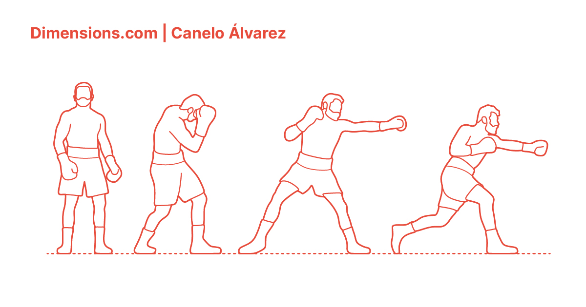 Canelo Álvarez Dimensions & Drawings | Dimensions.com