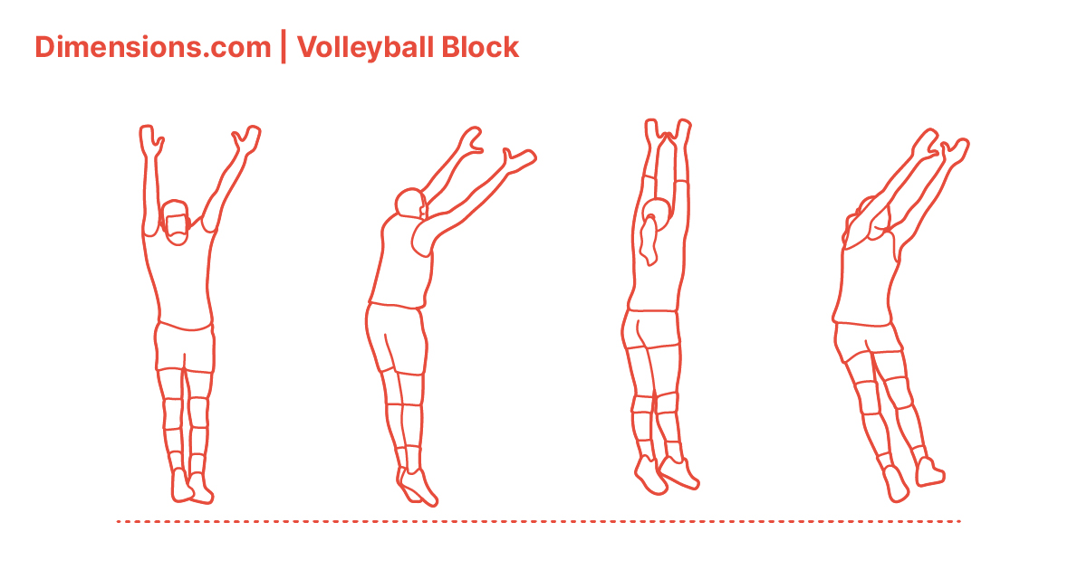 Volleyball Block Dimensions & Drawings | Dimensions.com