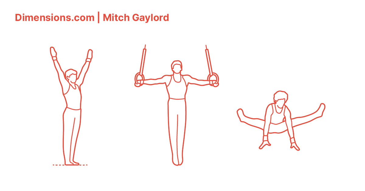 Mitch Gaylord Dimensions & Drawings | Dimensions.com