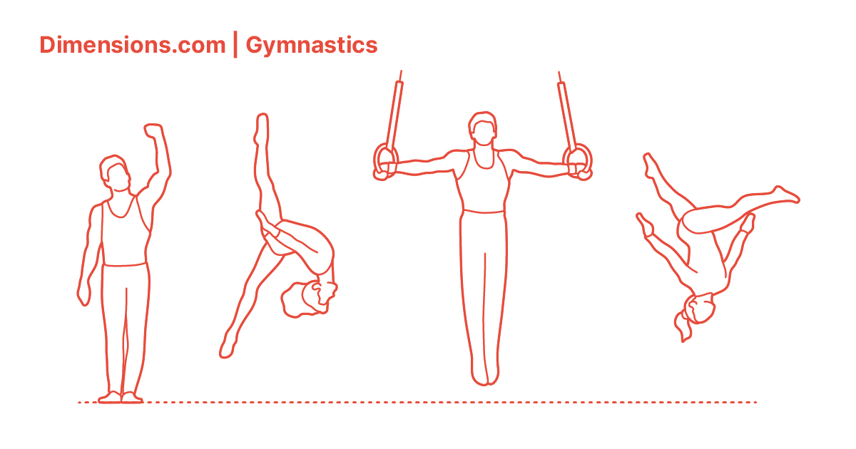 Gymnastics Dimensions & Drawings | Dimensions.com