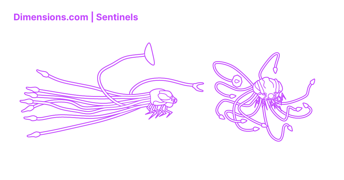 Sentinels Dimensions & Drawings | Dimensions.com
