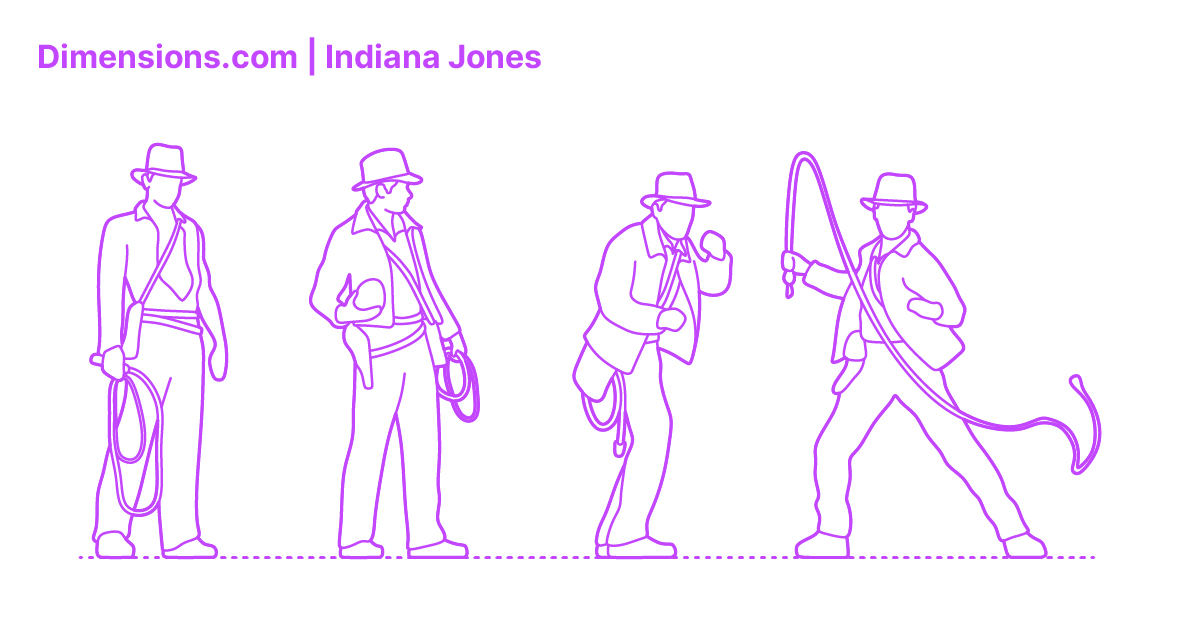 Indiana Jones Dimensions & Drawings | Dimensions.com