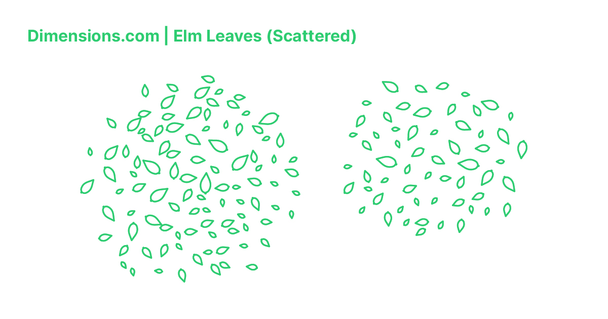 Elm Leaves (Scattered) Dimensions & Drawings | Dimensions.com