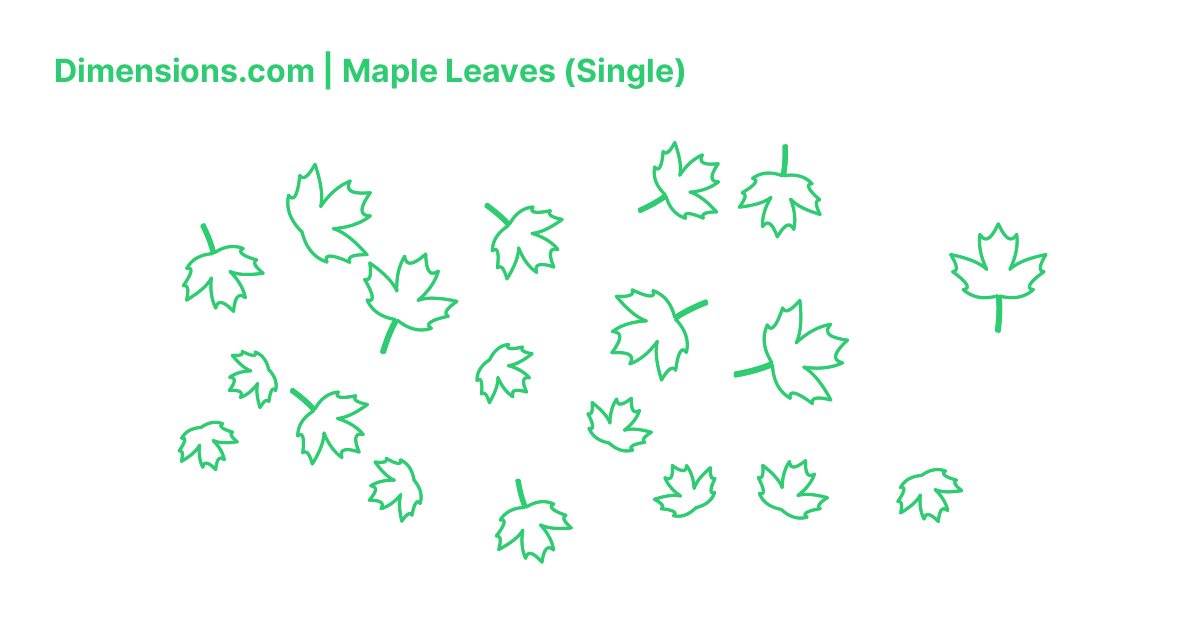 Maple Leaves (Single) Dimensions & Drawings | Dimensions.com