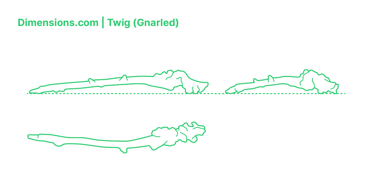 Twig (Gnarled) Dimensions & Drawings | Dimensions.com