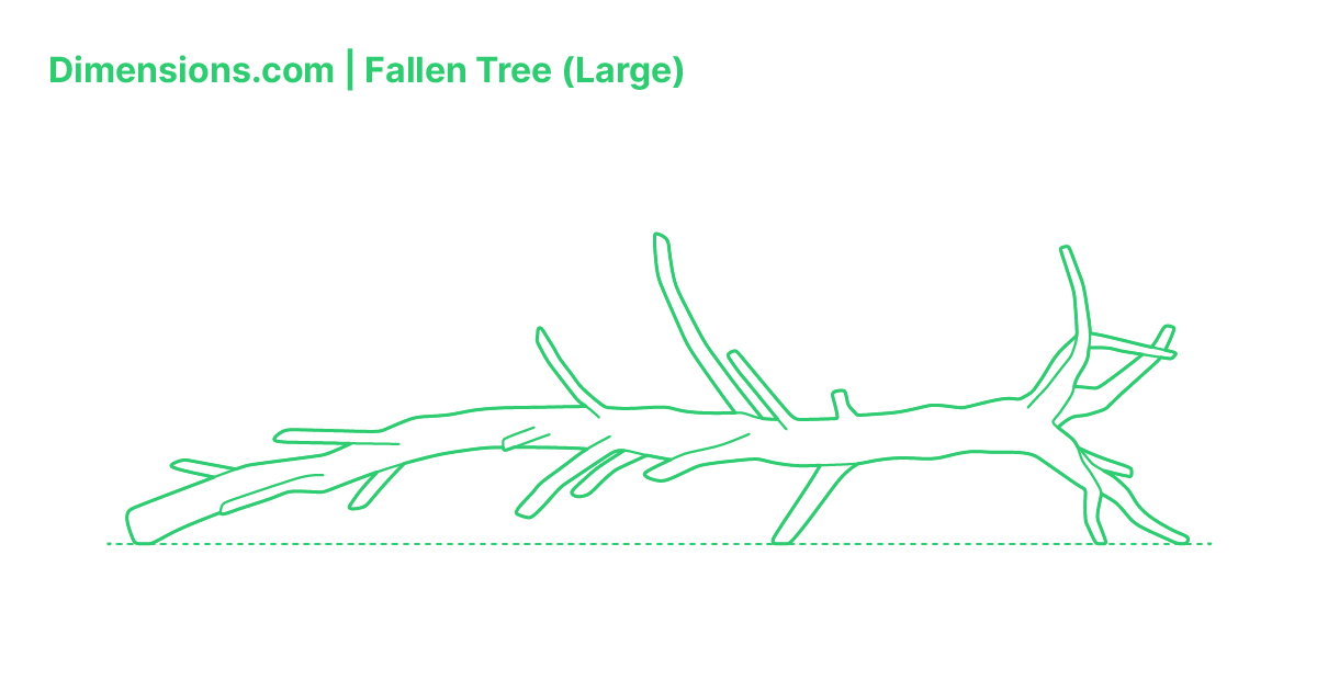 Fallen Tree (Large) Dimensions & Drawings | Dimensions.com