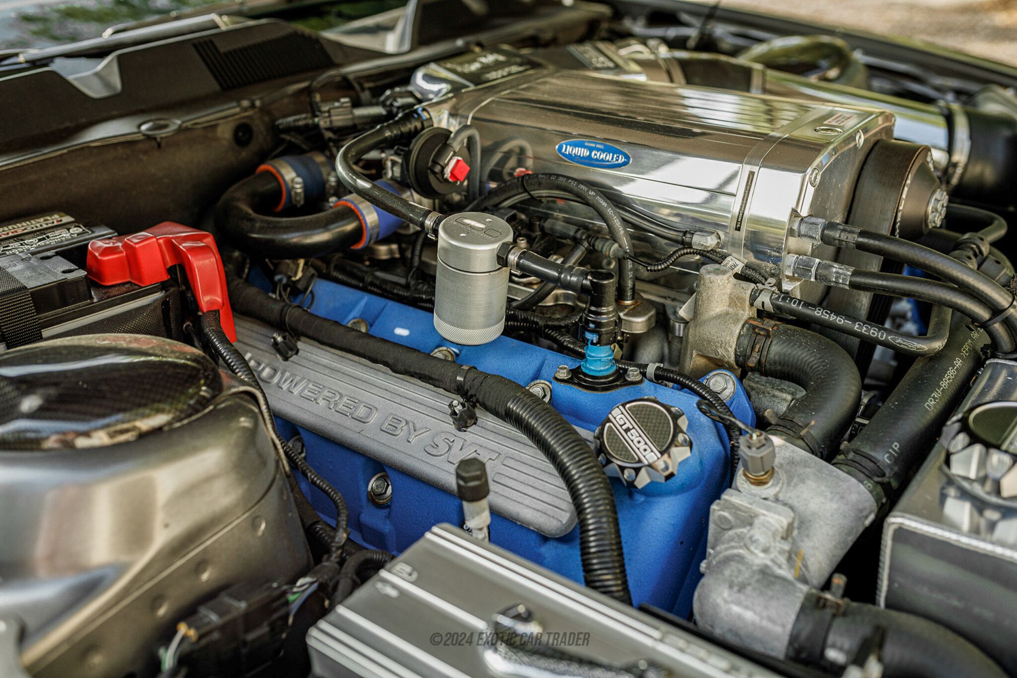 2014 Ford Mustang Shelby GT500 Super Snake for Sale | Exotic Car Trader ...