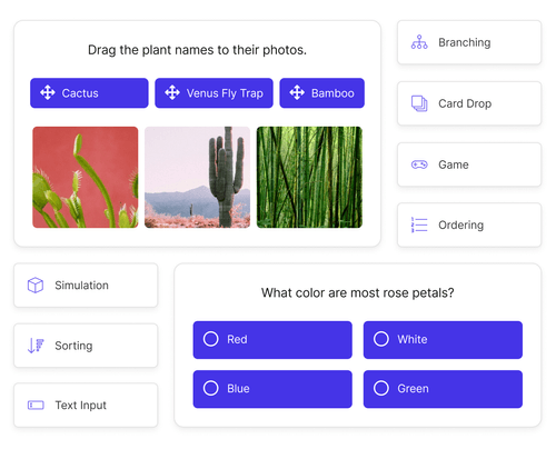 Intellum: Turn Learning Into Growth