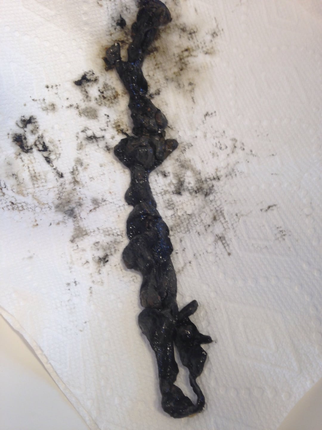 Turpentine & Castor Oil (Atom Bomb For Parasites) | The Detox Dudes Blog