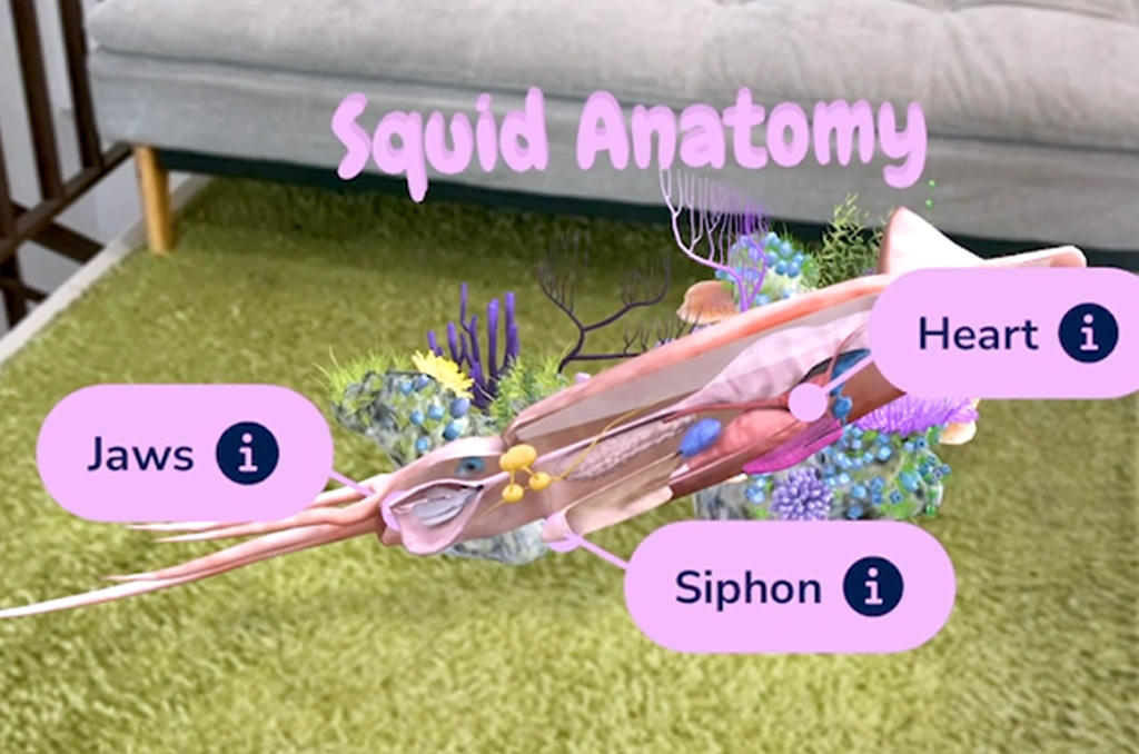 Announcing New Feature: Sticky Annotation