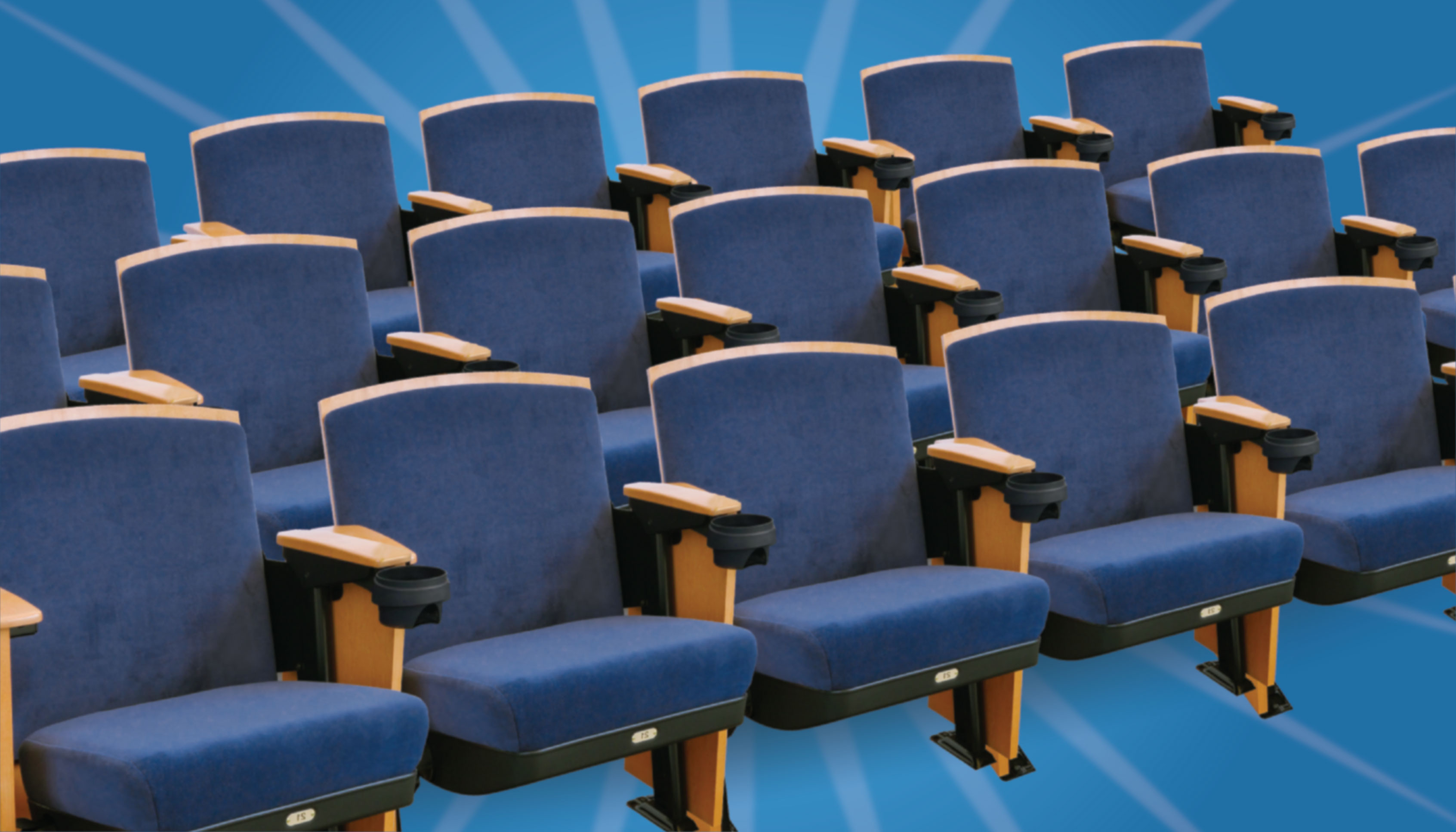 Sponsor-a-Seat Campaign | Manship Theatre