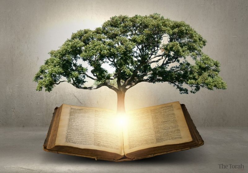And They Spoke of Trees - TheTorah.com