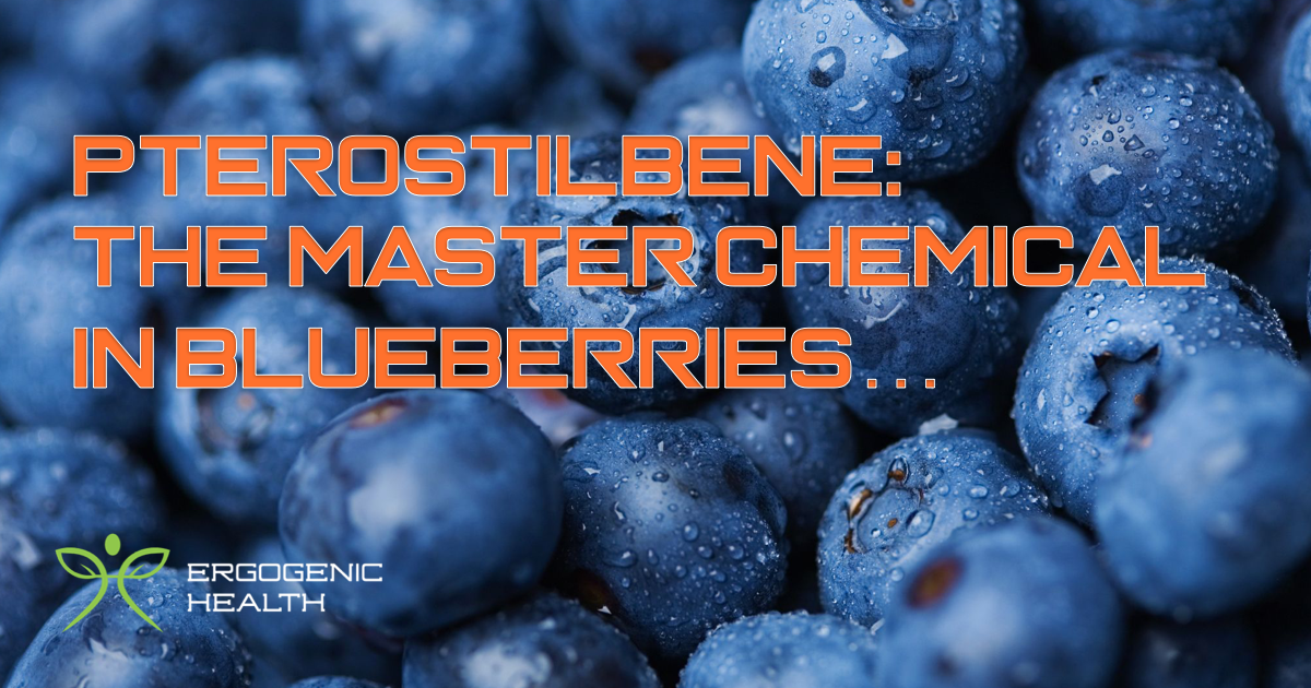 Know This Chemical In Blueberries: Pterostilbene. - Boost Your Biology