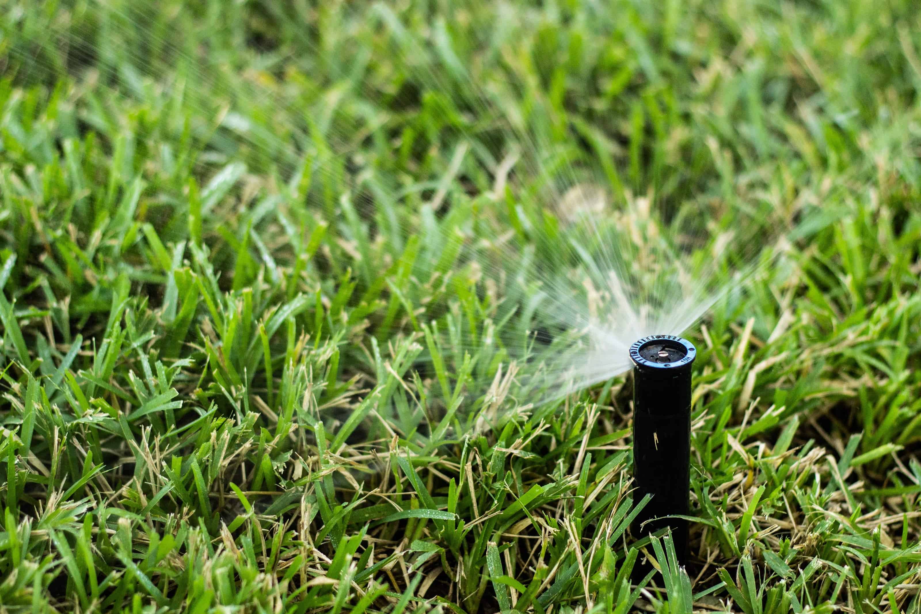 Recommended Sprinkler Run Times | Texas Waterboys