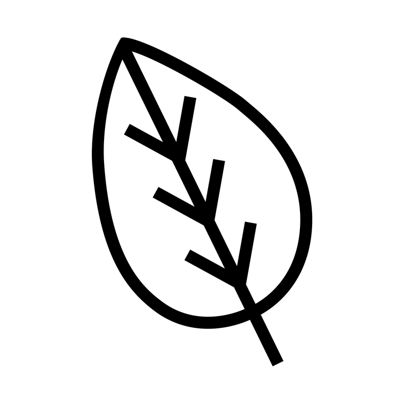 Main Restaurant & Beach Club Menu