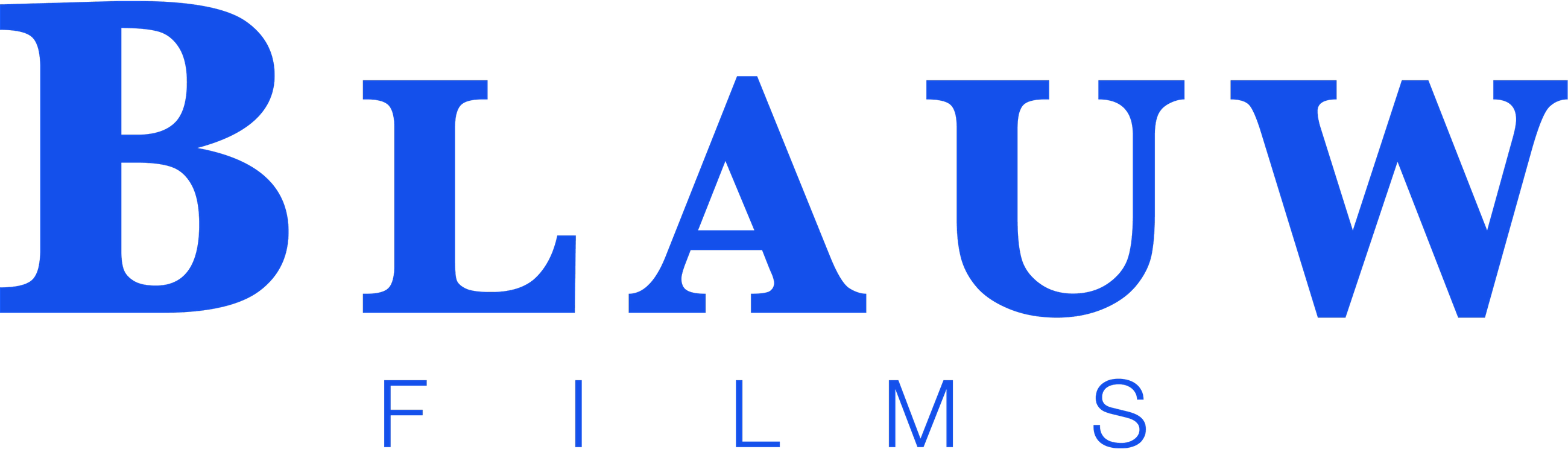 The Future of Digital Short Films | On Interview | Blauw Films