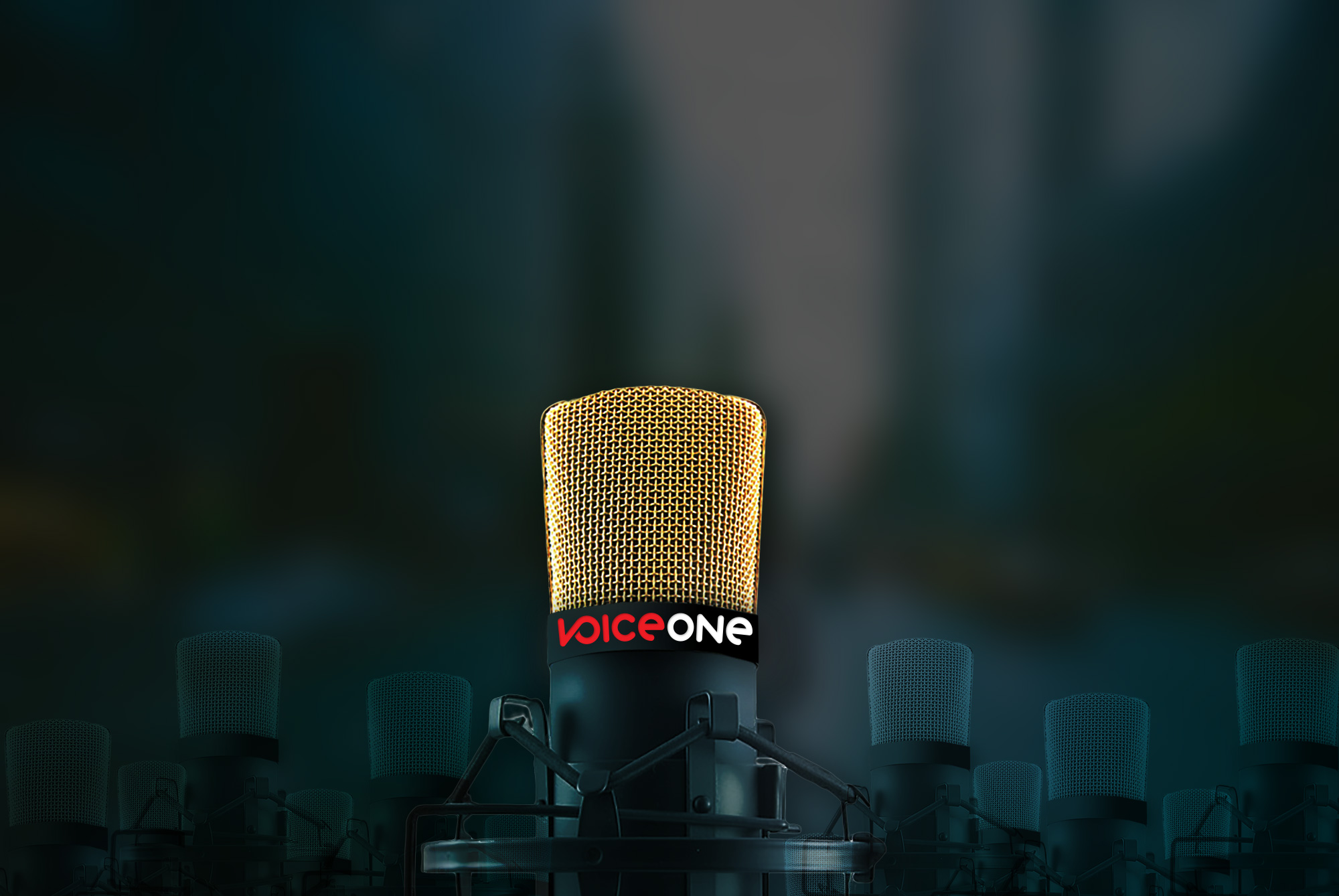 Voice One - The Leading Voice Over Training School in SF