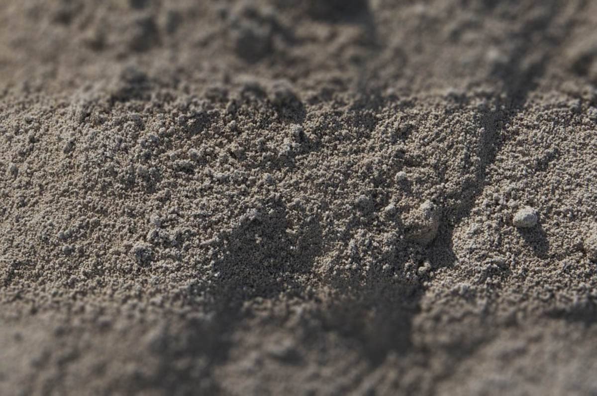 Cement Industry Handled | Vortex