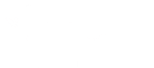 MotionTools | Modern software for urban logistics