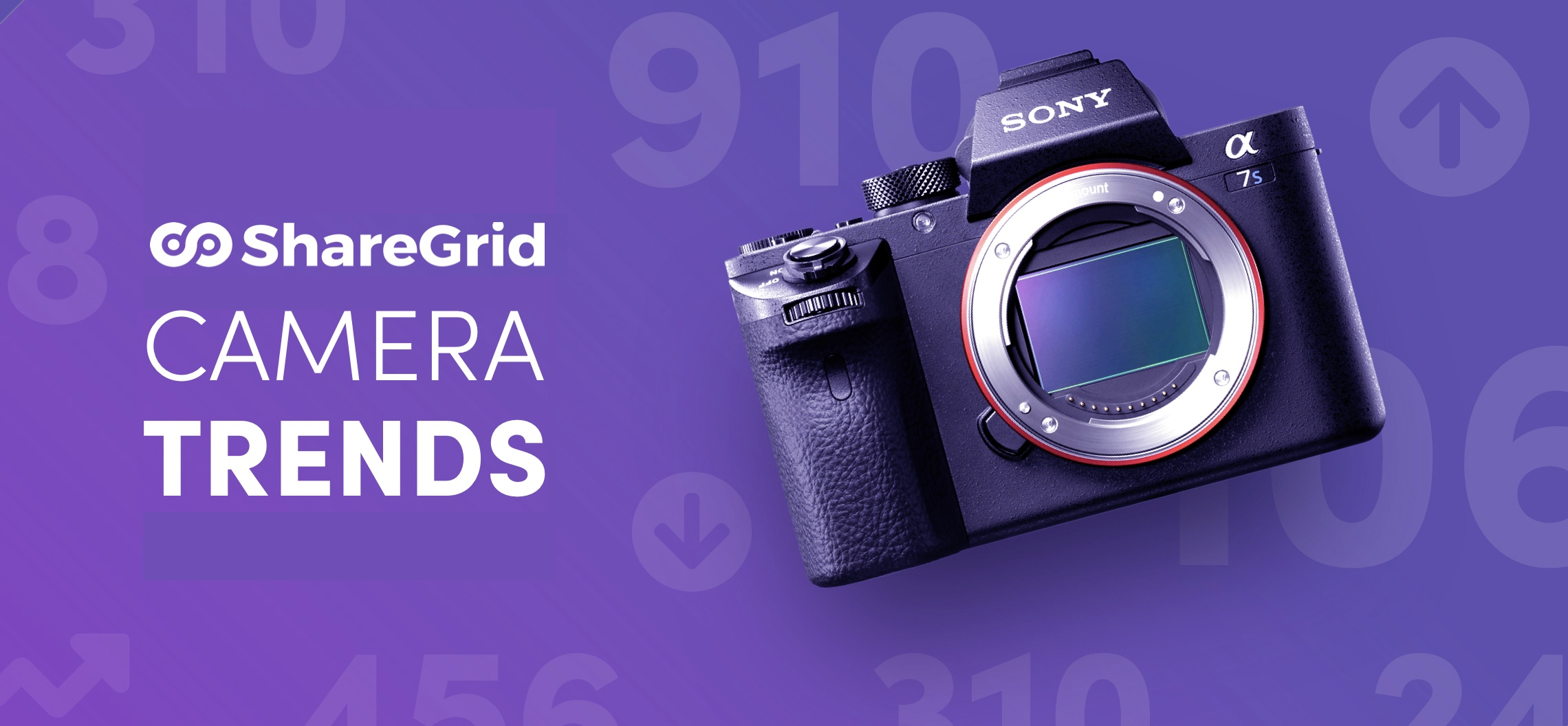 ShareGrid Insights 2025