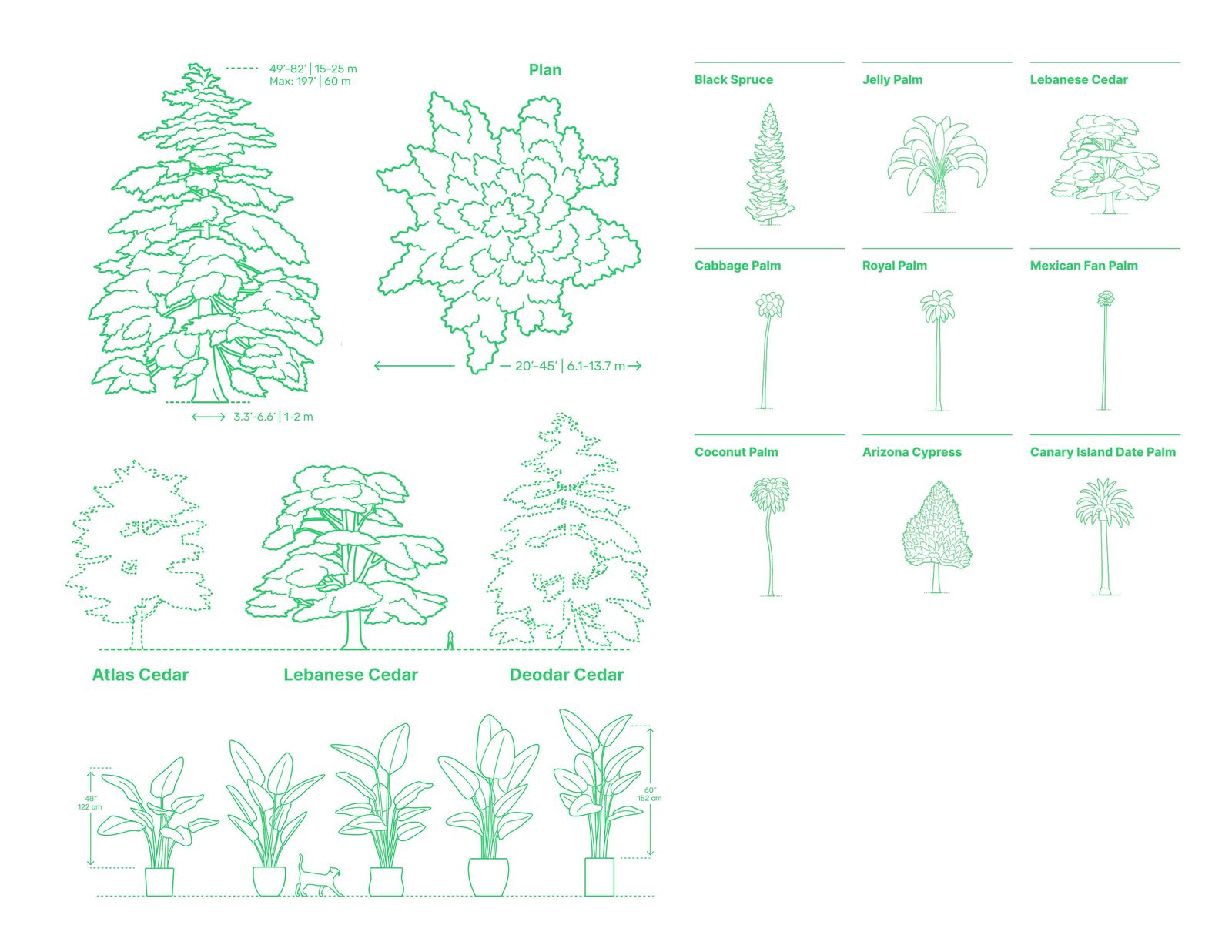 DIMS—Dimensions.com | Fantastic Offense