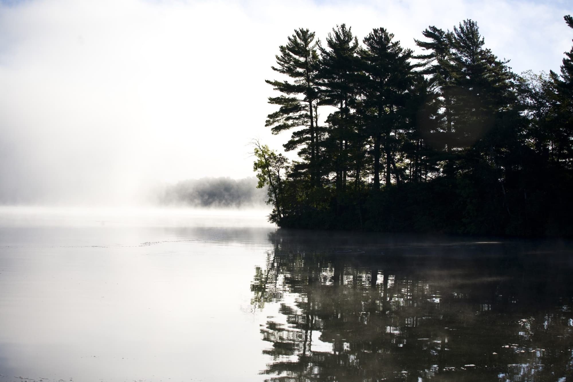 Island Activities - Stout's Island Lodge | WI Lake Resort