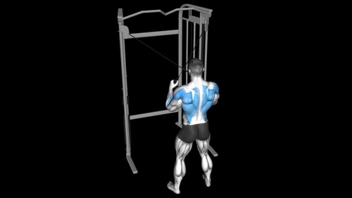 Cable Row – How To Video, Alternatives & More