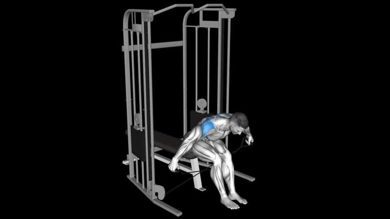 Lateral Raise Machine – How To Video, Alternatives & More