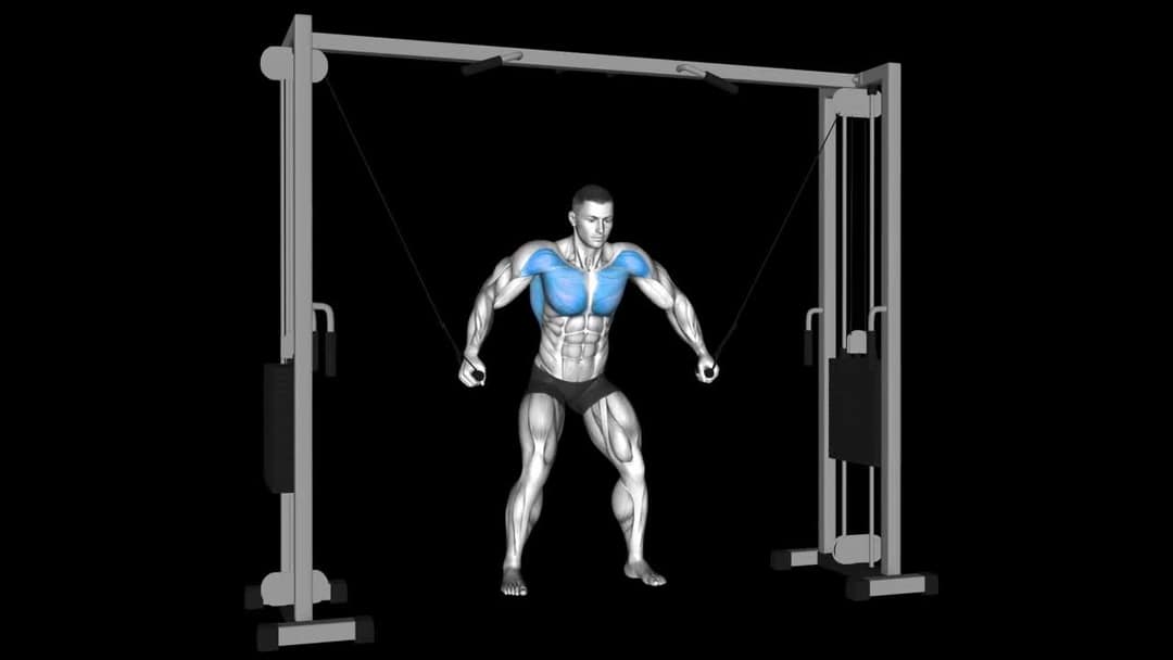 Chest Fly Machine – How To Video, Alternatives & More