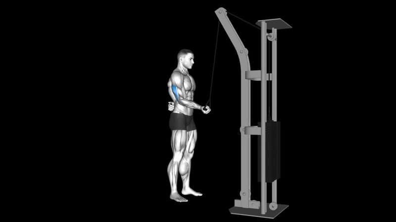 Rope Extension – How To Video, Alternatives & More