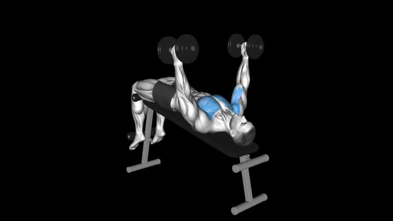 Chest Fly Machine – How To Video, Alternatives & More