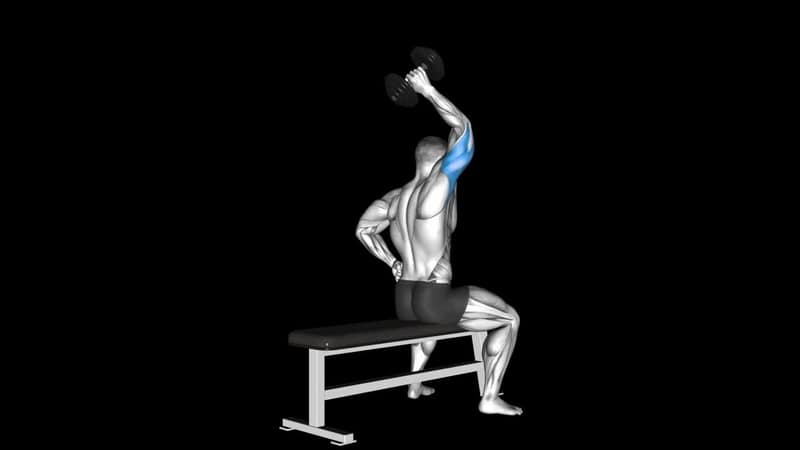 Band Overhead Tricep Extension – How To Video, Alternatives & More