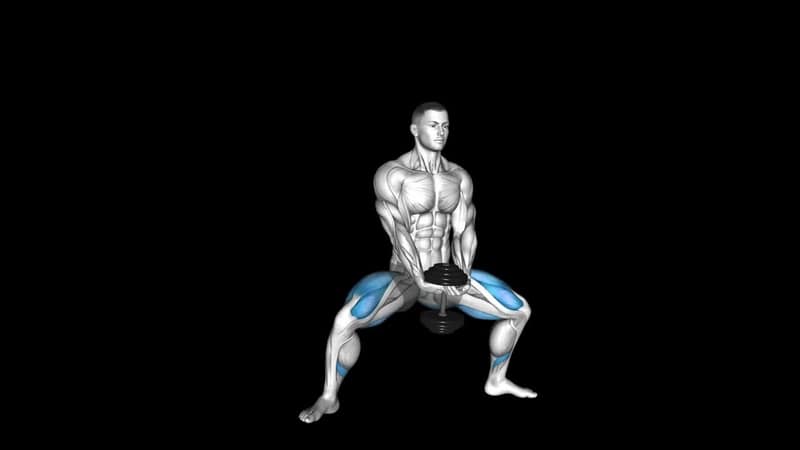 Cable Hip Adduction – How To Video, Alternatives & More