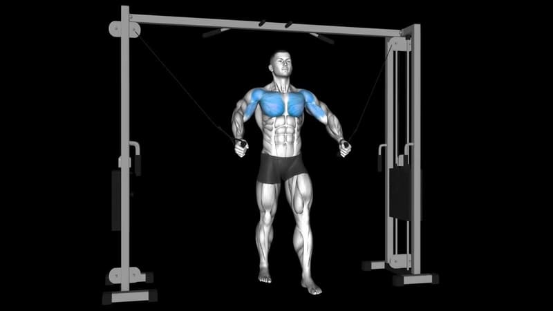 Chest Fly Machine – How To Video, Alternatives & More