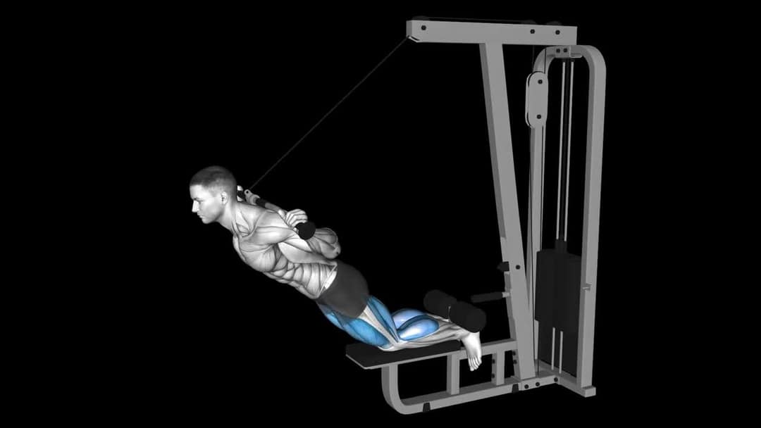 Cable Hip Extension – How To Video, Alternatives & More