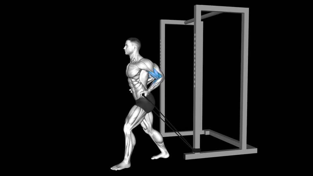 Cable Rope Curl – How To Video, Alternatives & More