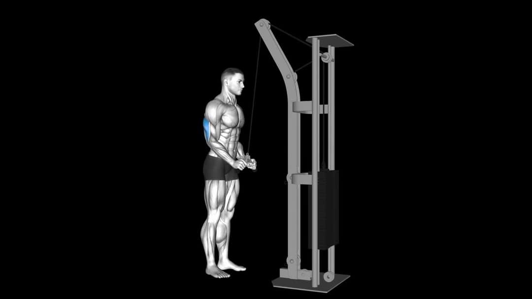 Cable Push Down – How To Video, Alternatives & More