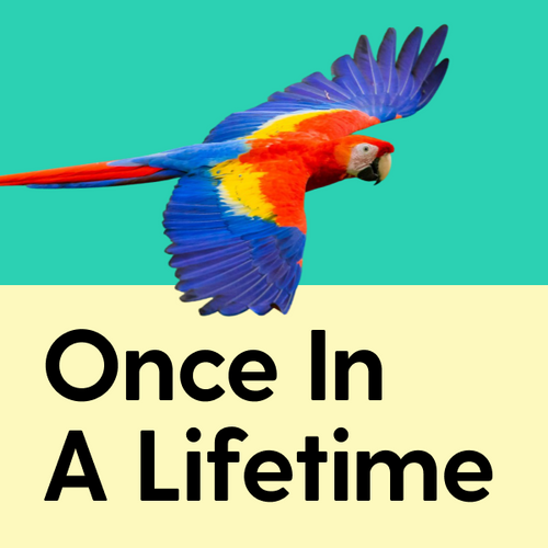 Skratch - Unlock the world