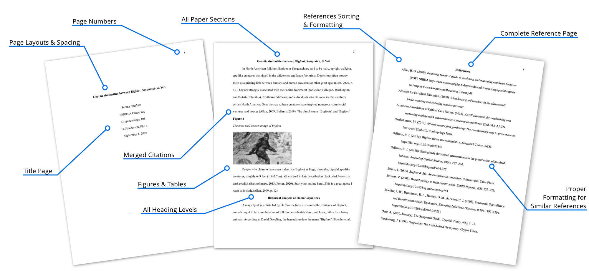 APA 101: PERRLA's Guide for Students