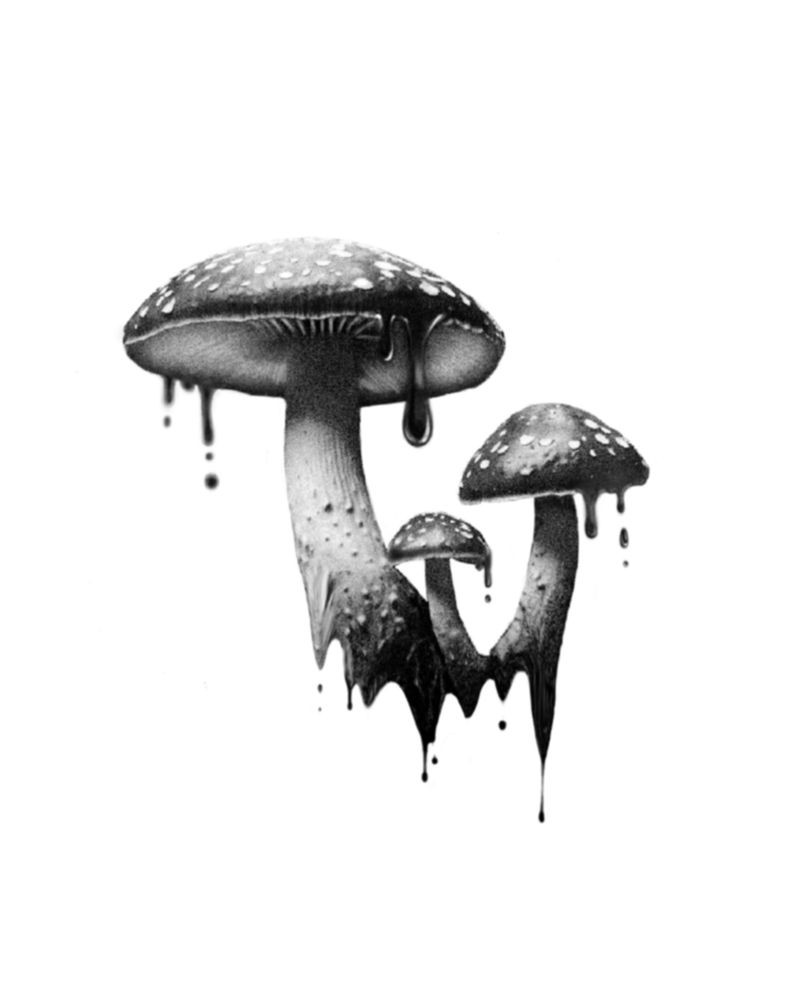 Baron Art Tattoo & Piercing Studio | Christina Drippy Mushrooms