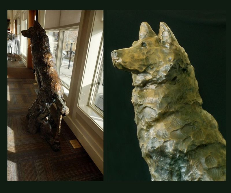 The story of wolf 42f