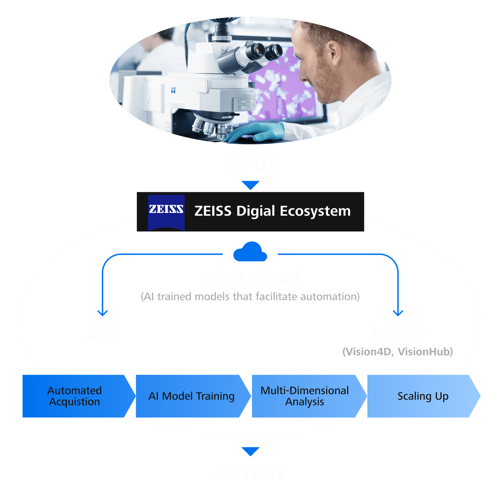 arivis Cloud - automated image analysis