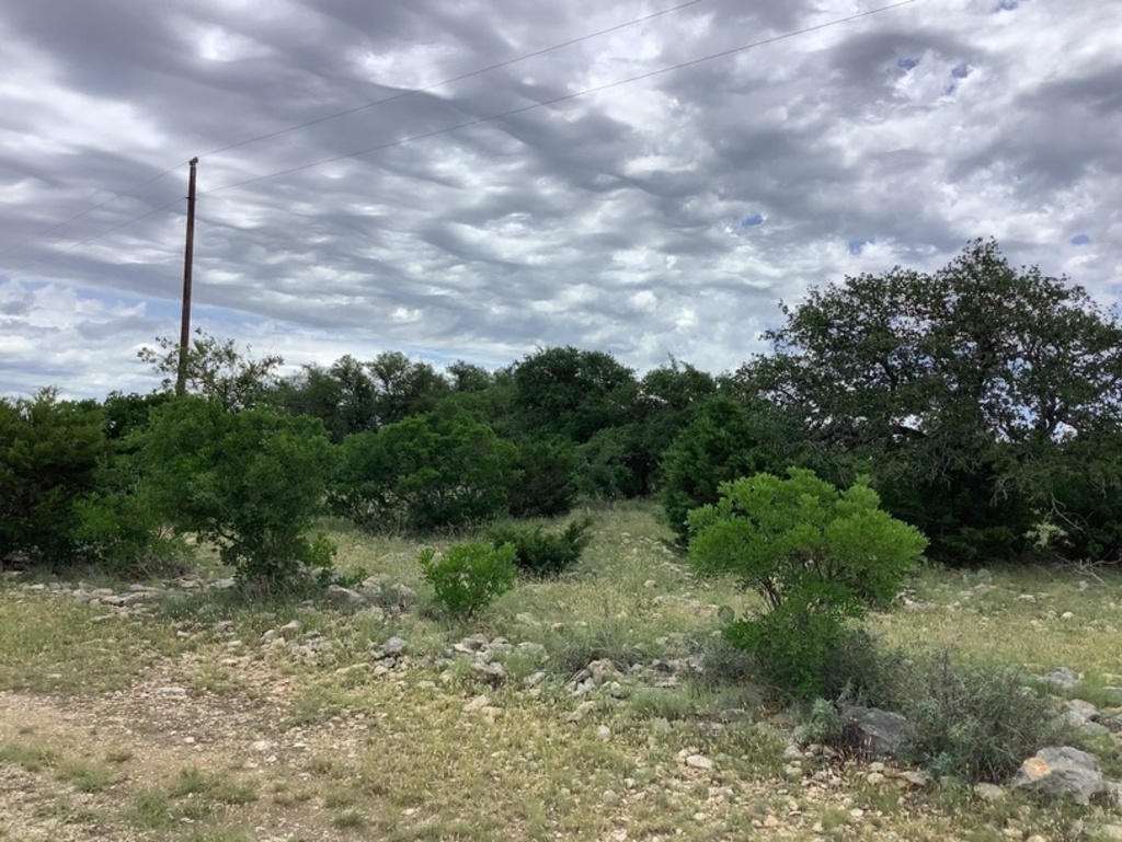 Texas Hill Country Hunting & Ranch Land, Republic Ranch-Rocksprings