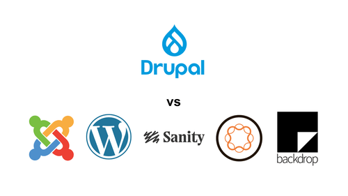 Top Drupal Alternatives in 2025: Best CMS Options Compared