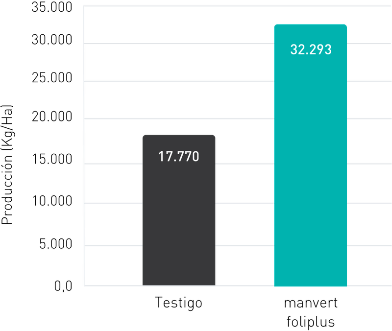 Bioestimulante manvert foliplus - Para todos los cultivos