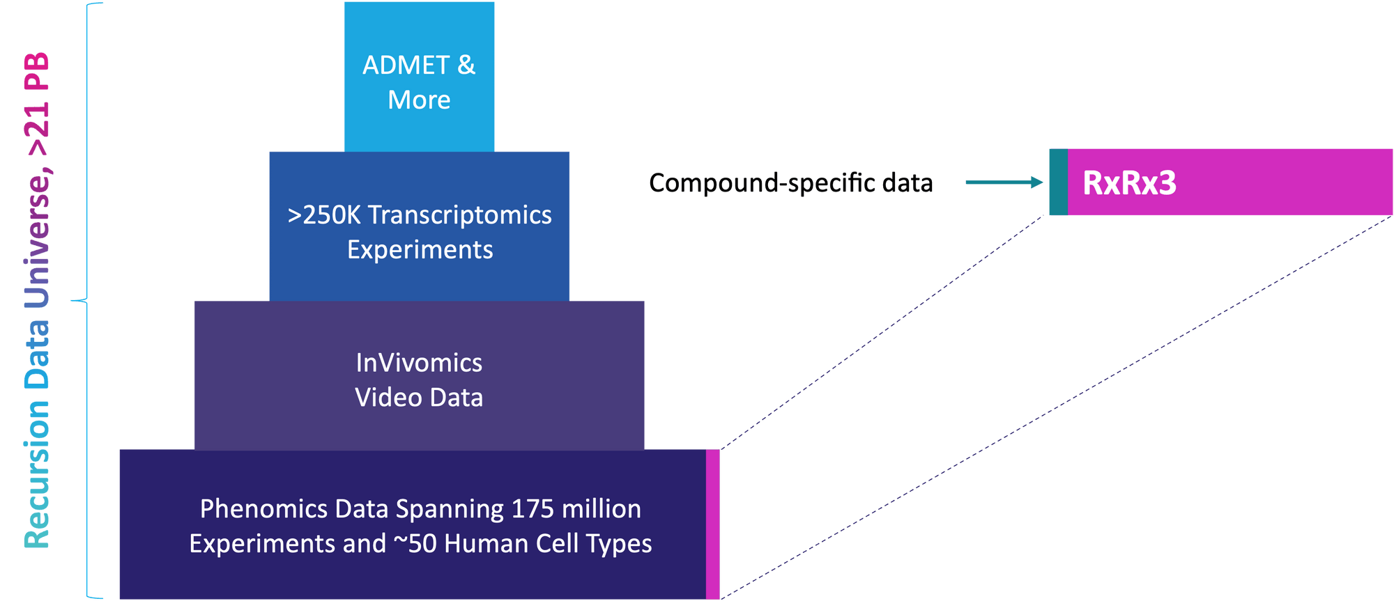 RXRX3: Phenomics Map of Biology