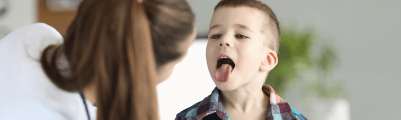 Are Mulberry Trees Causing Your Allergy Problems?